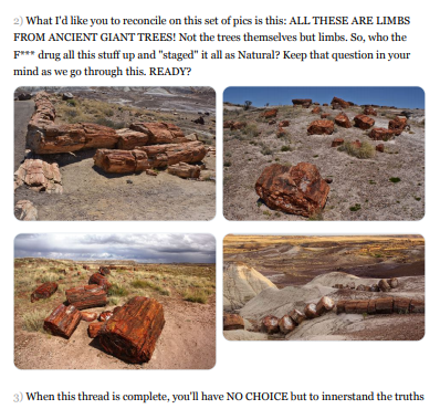 ANCIENT GIANT TREES? AND HOMINIDS? AND OTHER LIFE? Here’s “some ...