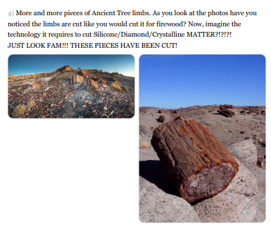 ANCIENT GIANT TREES? AND HOMINIDS? AND OTHER LIFE? Here’s “some ...