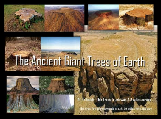 ANCIENT GIANT LIFE ON EARTH PLANE, DNA, AND AN ANCIENT CATACLYSM? IS ...